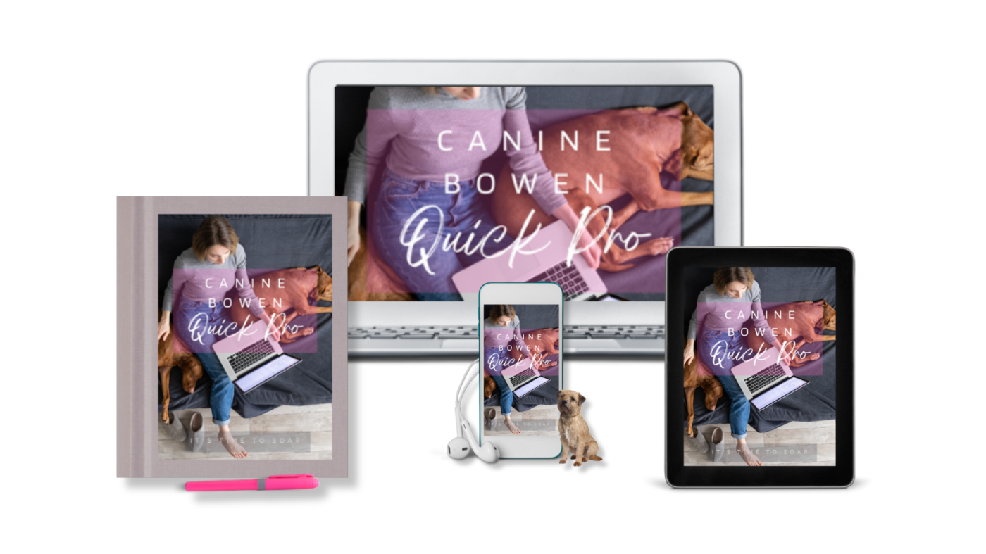 Canine Bowen Institute